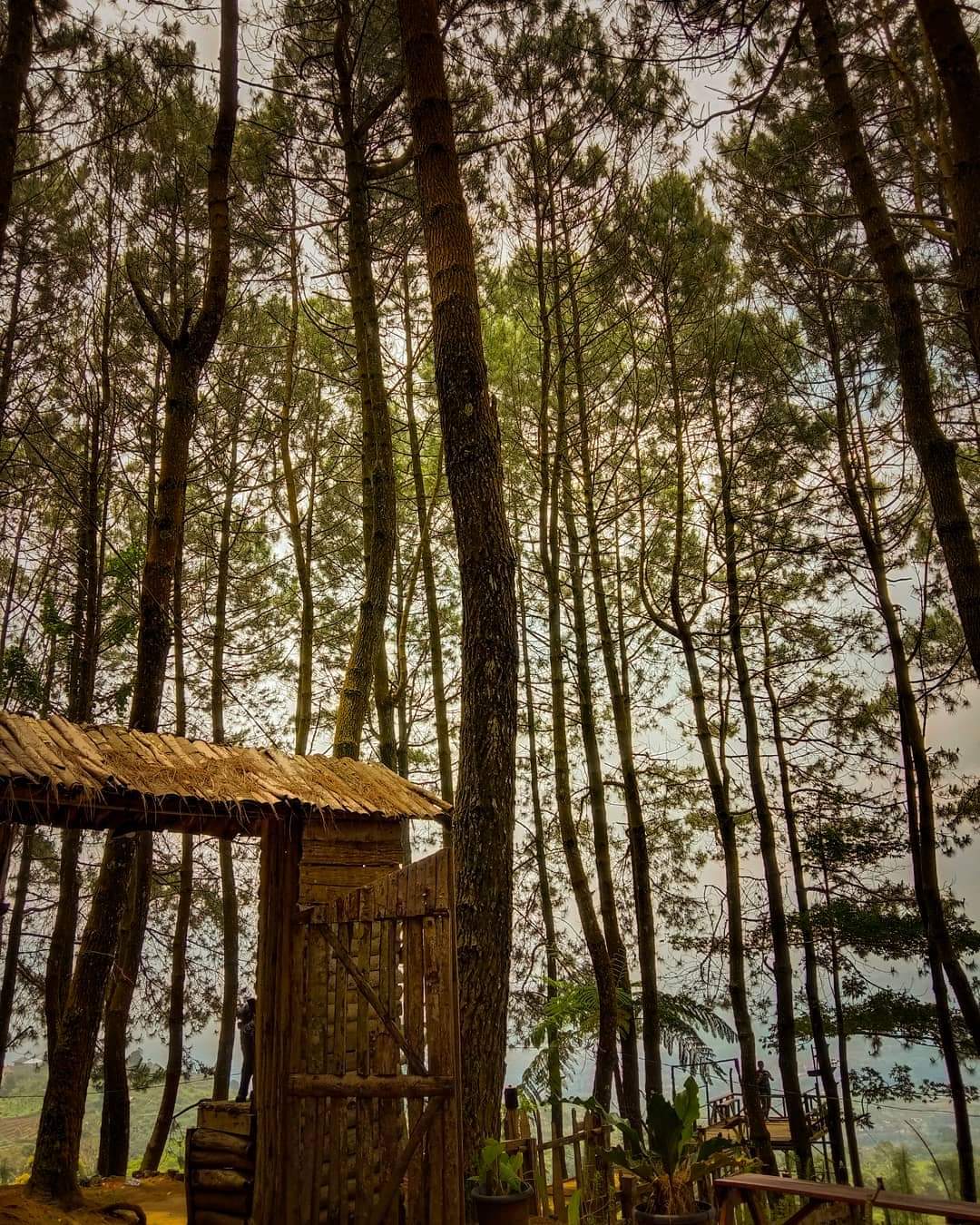 Adventure - Telaga Surian Camp