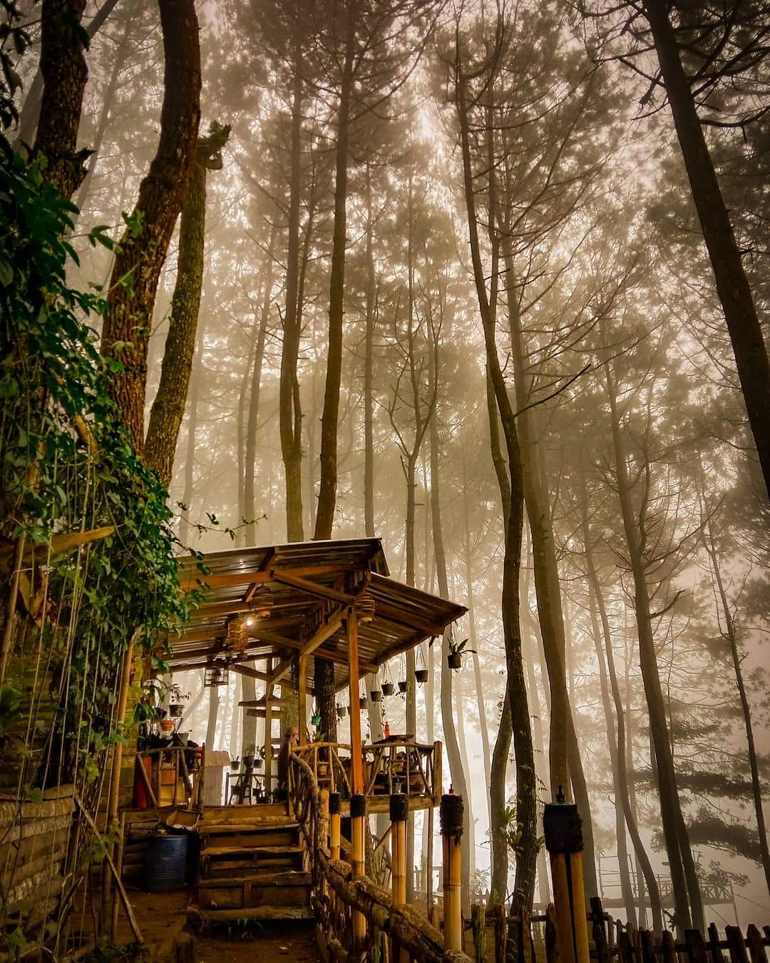 Adventure - Telaga Surian Camp