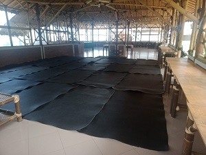 Adventure - Ujung Rimba Ciburial Camp