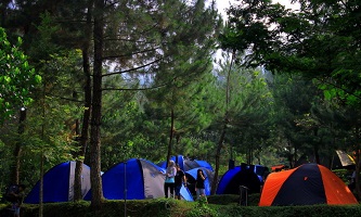 Adventure - Highland Camp Curug Panjang