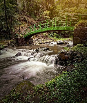 Adventure - Camp Wisata Alam Capolaga