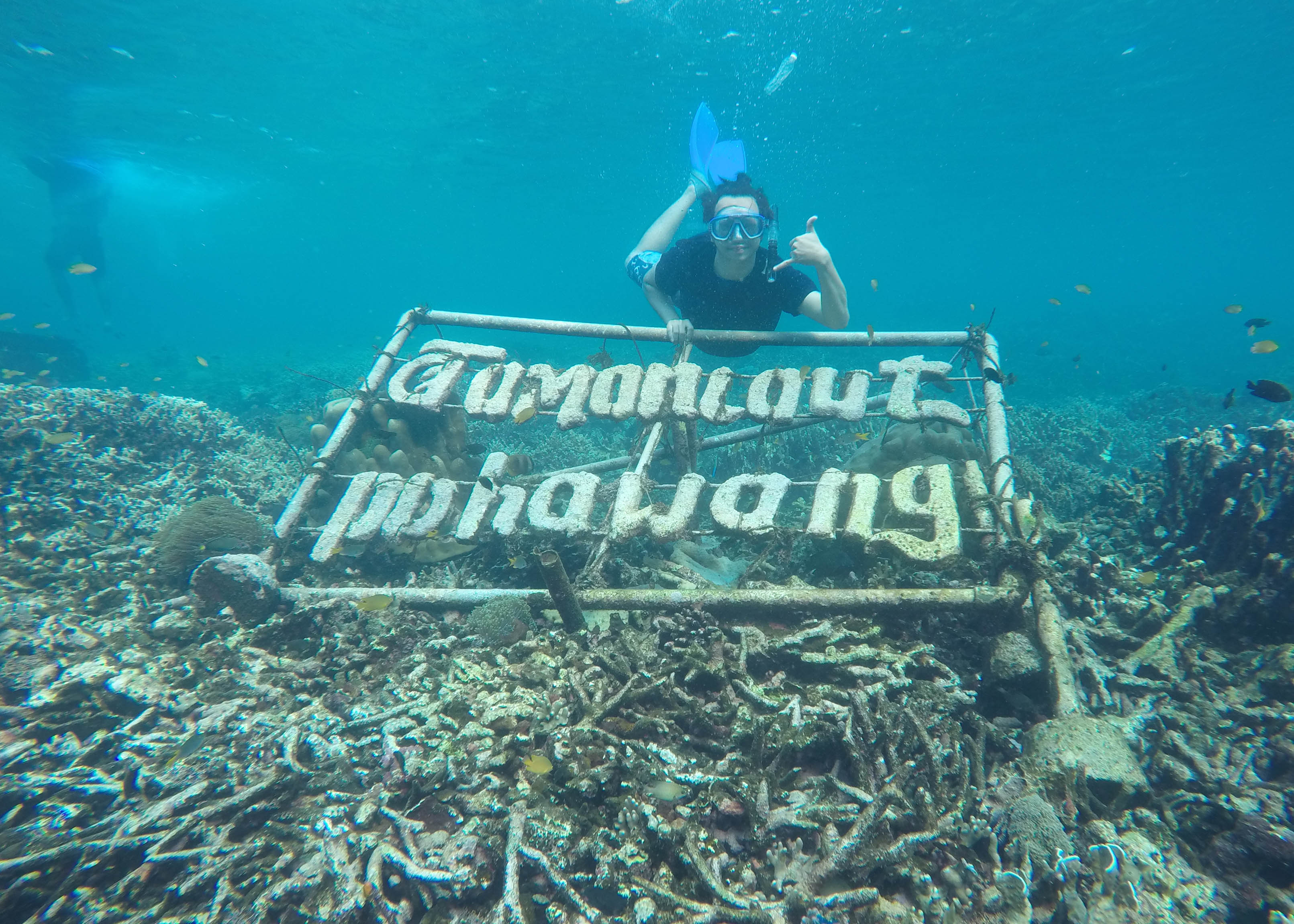 Adventure - Snorkeling Pulau Pahawang