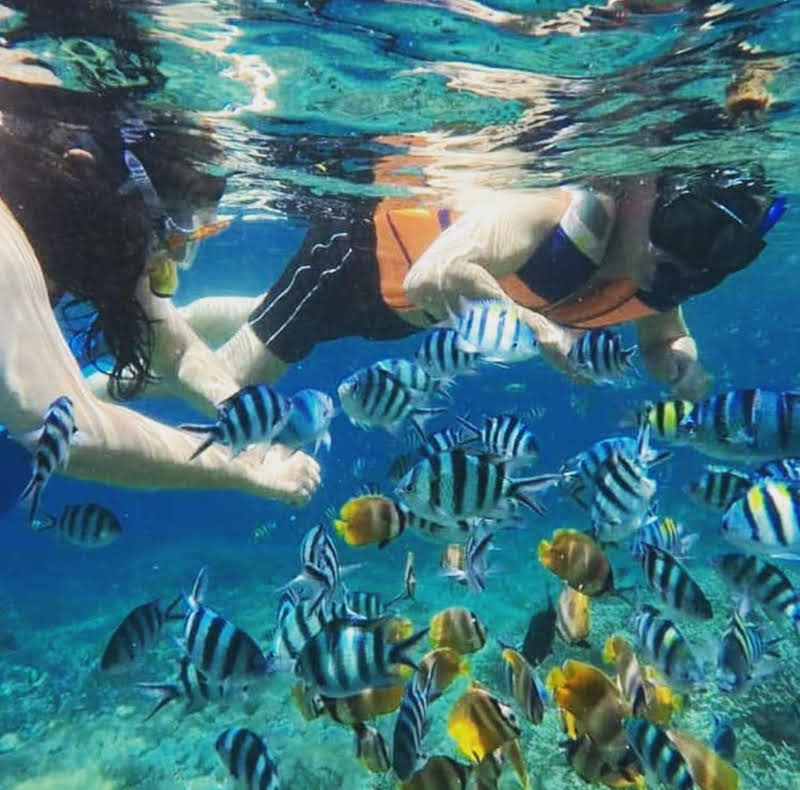 Adventure - Snorkeling Experience in Amed & Lempuyang Temple Tour