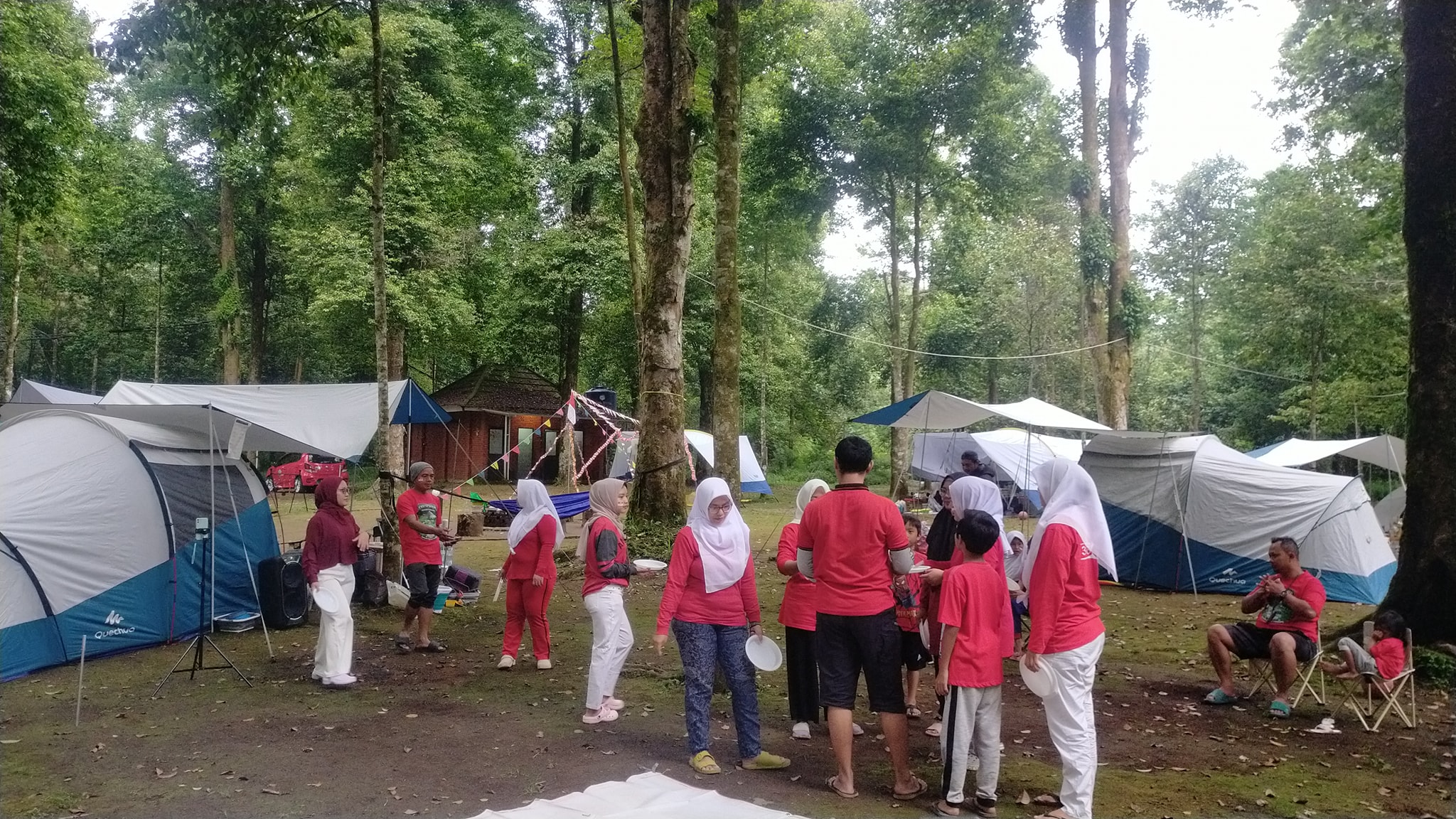 Adventure - Hejo Forest Camp & Glamping