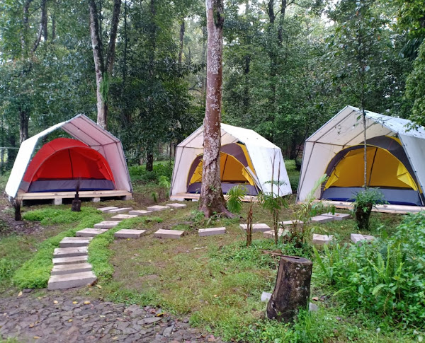 Adventure - Hejo Forest Camp & Glamping